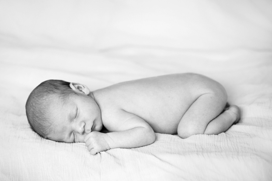 Galerie NewBorn - Studio Monbijou - Fotostudio Berlin